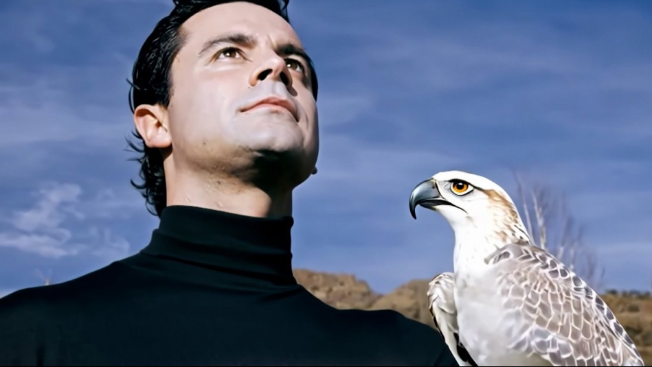 Viaje a lo Insólito: La historia detrás del halcón blanco que nació el ...