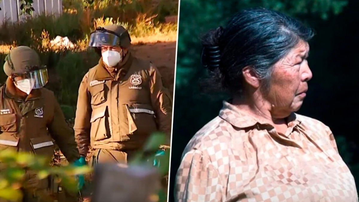 Con drones y perros adiestrados: Intensa búsqueda de Julia Chuñil tras ...