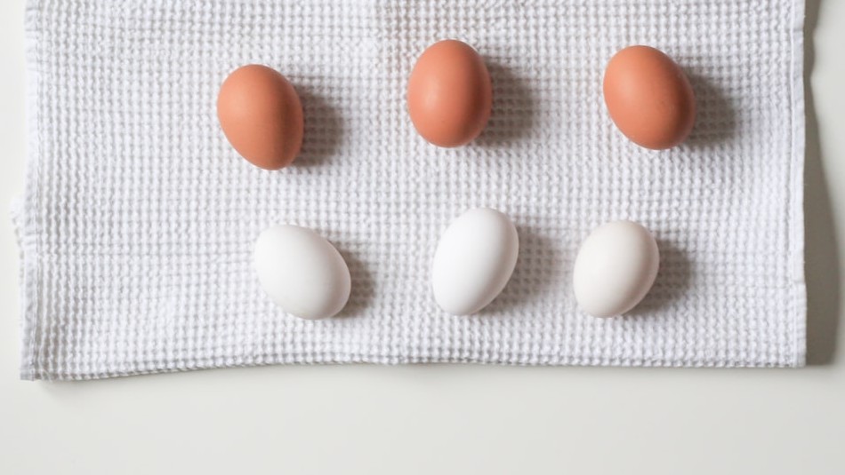 Blancos o de color: Cómo elegir el mejor huevo para tu comida ...
