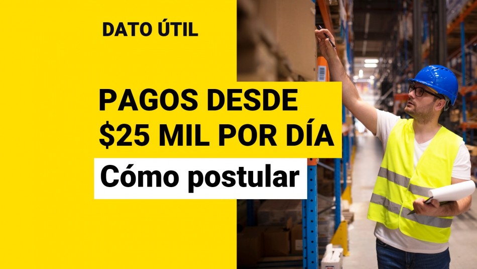 Pagos desde $25 mil por día: Revisa cómo postular al trabajo de ...