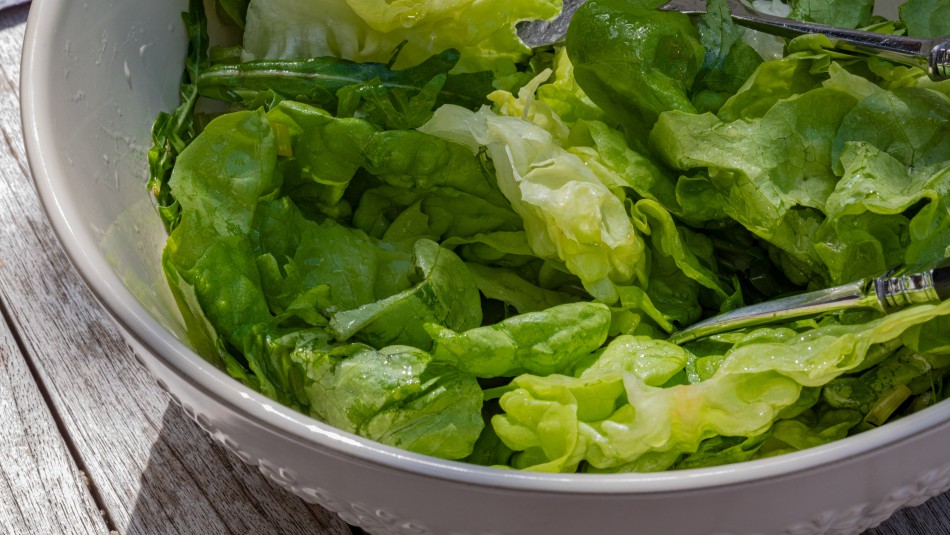 ¿Cómo puedo mantener la lechuga fresca durante más días? - Meganoticias