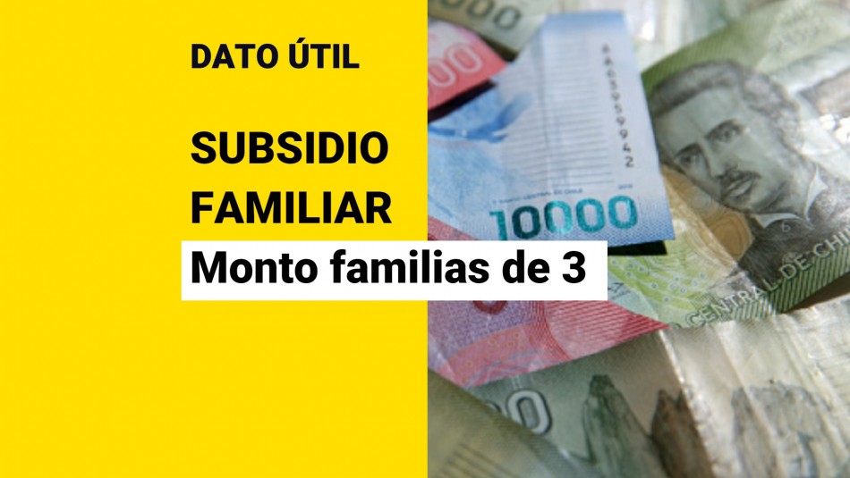 Subsidio Familiar: ¿Qué monto recibe una familia de tres causantes ...