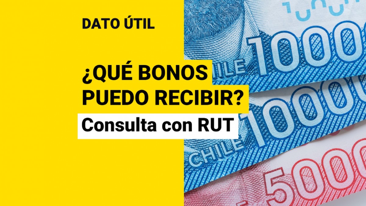 ¿Qué bonos puedo recibir? Así puedes saberlo mediante tu RUT - Meganoticias