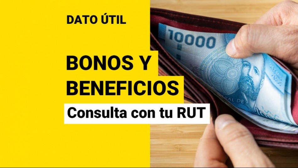 Bonos y beneficios que están disponibles: Revísalos con tu RUT ...