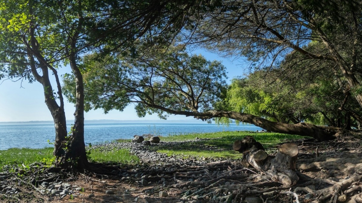 Lago Ranco: Así se encuentra el tiempo en este lugar turístico al sur ...
