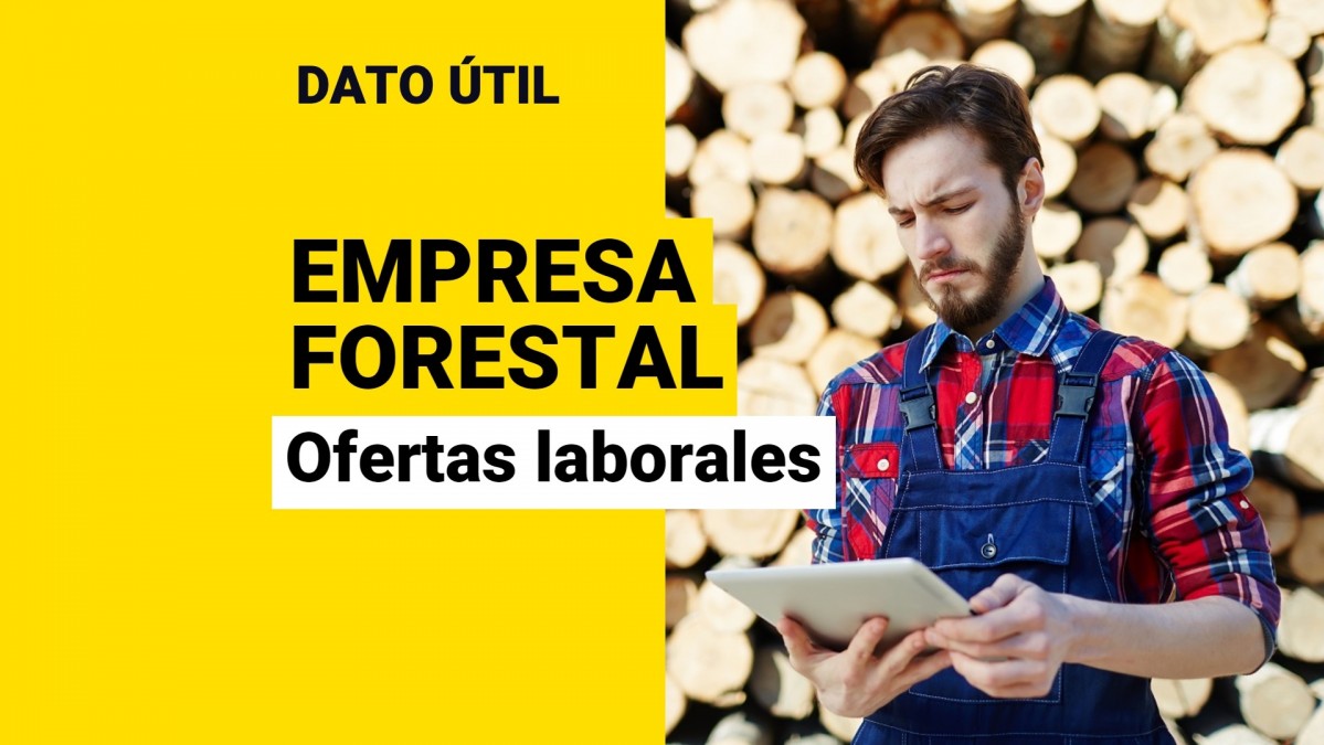 Arauco busca trabajadores: ¿Qué ofertas laborales tiene la empresa forestal? - Meganoticias