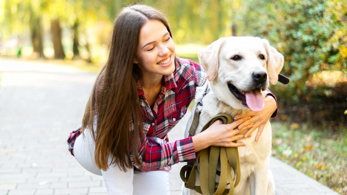 Estas son las razas de perros más leales del mundo - Meganoticias